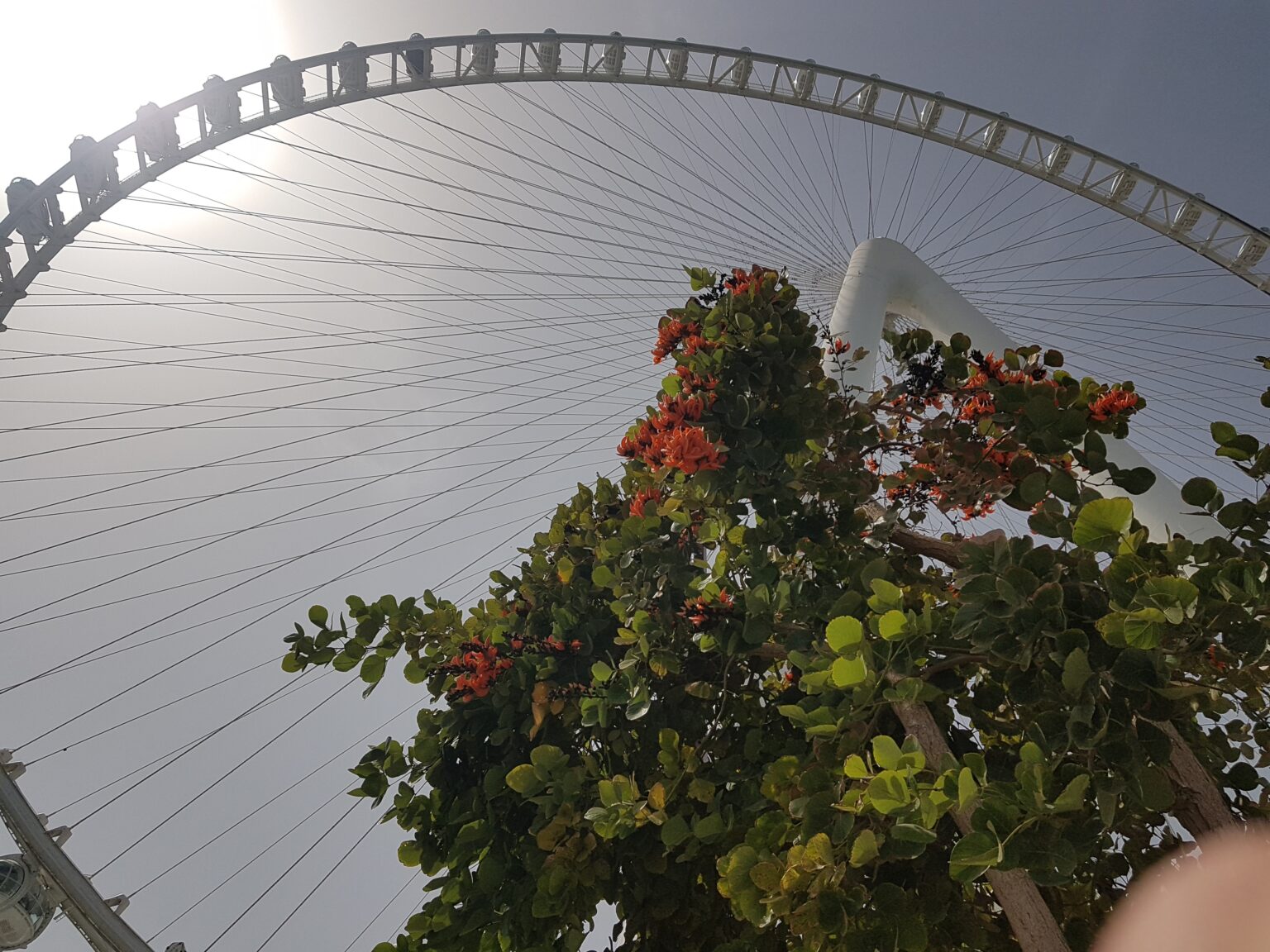 Magic Of Winter: Explore The Enchanting Winter Season In The UAE ...